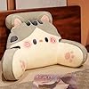Amazon.com: Bed Rest Reading Pillow - Kawaii Soft Lumbar Pillows Rest ...