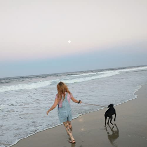 The Way de Matt Colvin no Amazon Music Unlimited