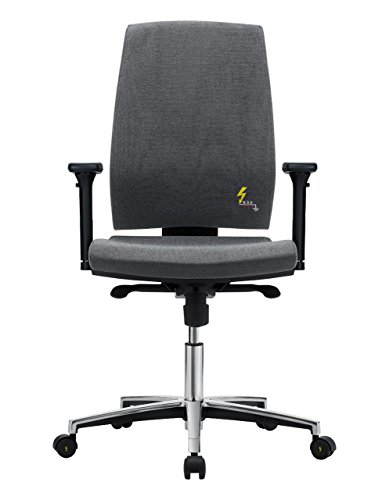 Ergonomic, anti-static, ESD office chair with adjustable backrest and ...