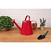 Simpa 3L 3 Litre Colour Metal Watering Can with Watering Rose - Matt ...