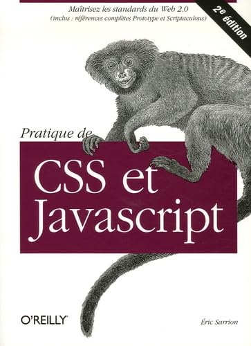 Amazon.fr - Pratique de CSS et de JavaScript - Sarrion, Eric - Livres