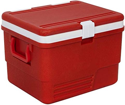 Buy Praxon Insulated Plastic Chiller Ice Box - Space Saving Ice-Storage ...