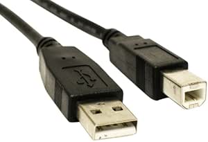 Amazon.com: 10FT USB TYPE A/B MM : Electronics