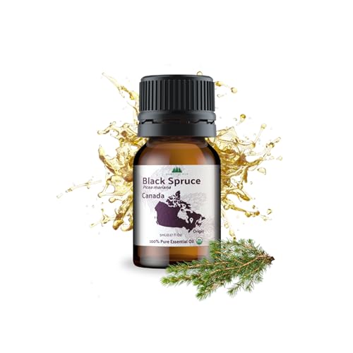 Spruce Cleaning – The 15 best products compared - Your Motor Guide