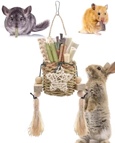 Amazon.com : Bissap Rabbit Chew Toy, Bunny Cage Hanging Chew Toys and ...
