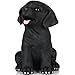 Amazon.com: H&W Black Labrador Dog Coin Money Bank, Shatterproof Dog ...