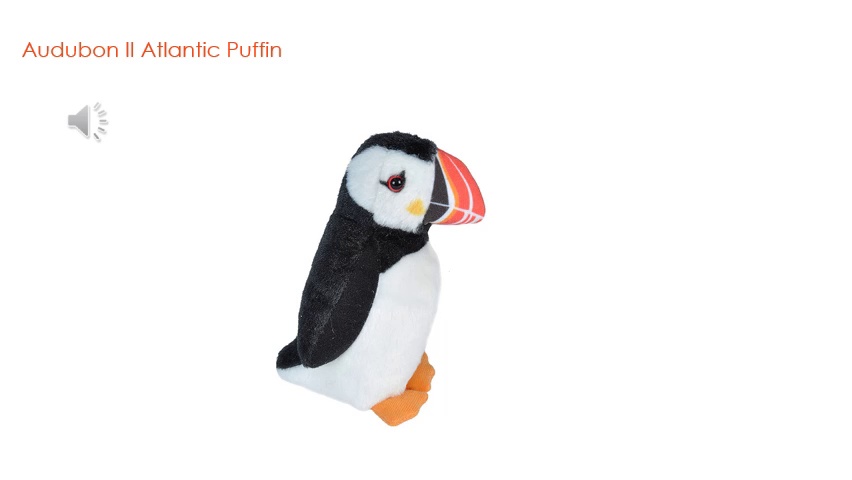 Watch Wild Republic Audubon Birds Atlantic Puffin Plush with Authentic ...
