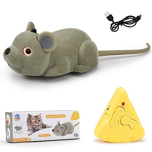 10 migliori topo telecomandato per gatti - Confronto, recensioni ...