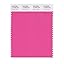 PANTONE Smart 17-1937X Color Swatch Card, Hot Pink - House Paint ...