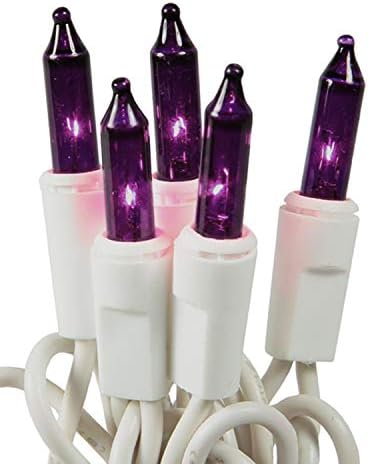 Amazon.com: Holiday Pride Dark Purple Lights on White Wire - 100 Count ...