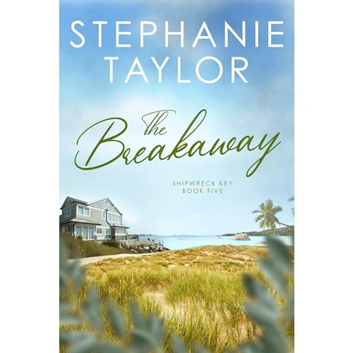 Amazon.com: The Castaway: Shipwreck Key Book One (Audible Audio Edition ...