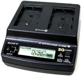 Sony AC Adapter and Battery Charger AC-VQ900AM - Fuente de alimentación ...