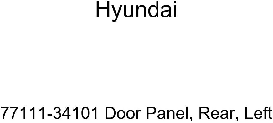 Amazon.com: Genuine Hyundai 77111-34101 Door Panel, Rear, Left : Automotive