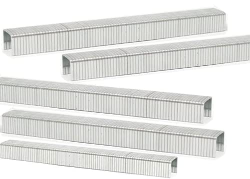 3/8" Leg x 20GA GALV A11/T50 Staples 5,000ct | A11-38 - Amazon.com