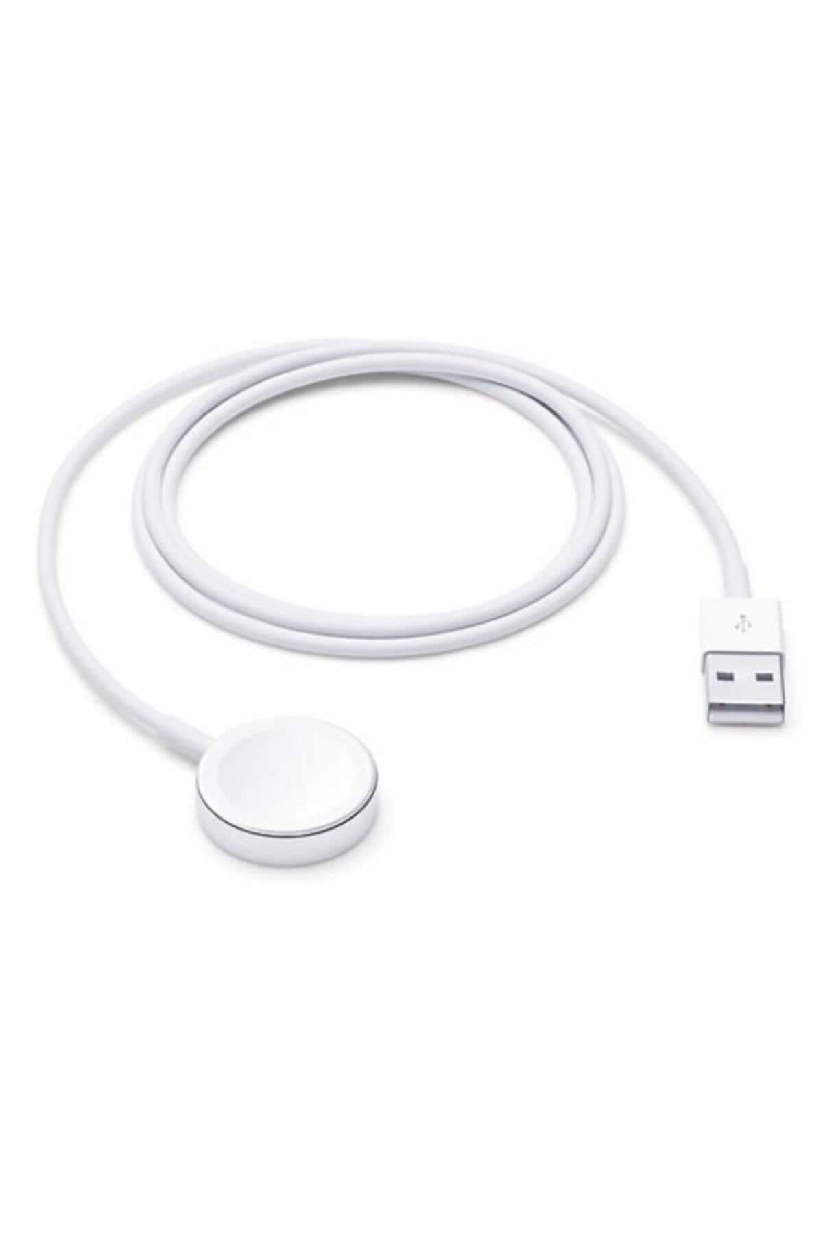 Apple Watch Magnetic Charging Cable (1 m) : Amazon.in: Electronics
