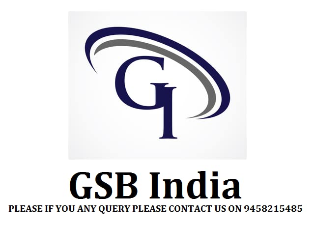 GSB India Aluminum DC-06 Fully Automatic Hydraulic Slim Door Closer ...