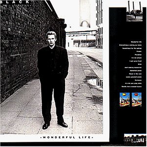 Wonderful Life: Amazon.de: Musik-CDs & Vinyl
