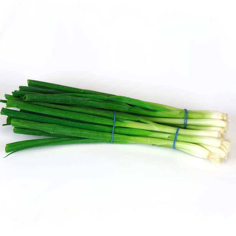 Amazon.com : Onion-Evergreen White Bunching Nebuka (500 Seeds) : Patio ...