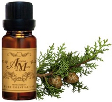 Amazon.com : Cypress Pure Essential Oil 100% (France) (Cupressus ...