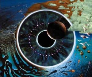 Pulse: Amazon.ca: Music