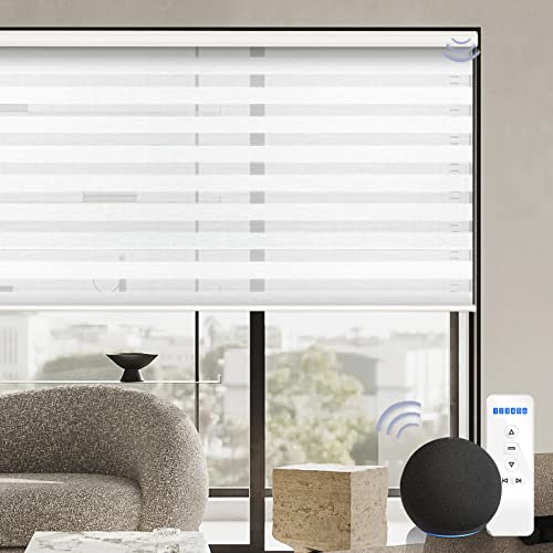 Zebra Rollo – Die 15 besten Produkte im Vergleich - Heim & Werk Ratgeber