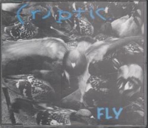 Fly - Amazon.com Music