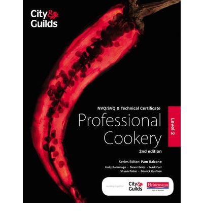 City & Guilds NVQ/SVQ and Technical Certificate Level 2 Professional ...