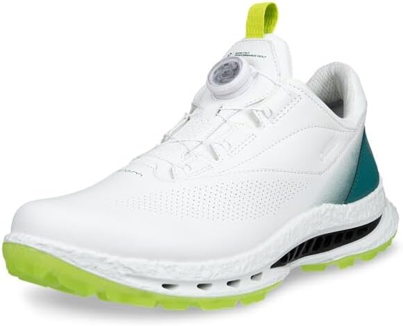 Amazon.com | ECCO Men's Biom C5 BOA Gore-Tex Waterproof Golf Shoe ...