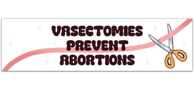 Amazon.com: Vasectomies Prevent Abortions Decal | Pro Choice Sticker ...