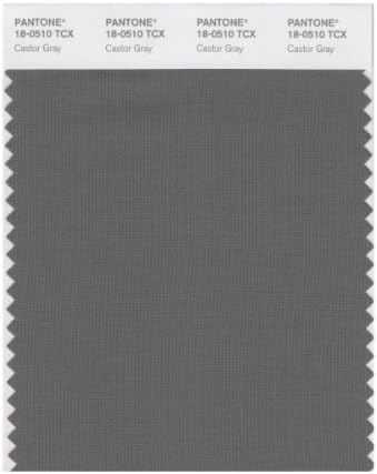 PANTONE SMART 18-0510X Color Swatch Card, Castor Gray Color: Castor ...