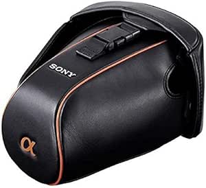 Amazon.com: Sony NW-E105 - Walkman MP3 (512 MB), color azul : Electrónica