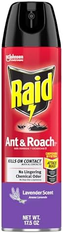 Amazon.com: Raid Ant & Roach Aerosol Bug Spray, Water-Based Formula ...