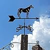 Amazon.com: BRLIBESE Weathervane Cast Iron Horse Wind Direction ...