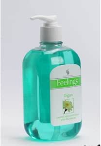 Evans Trigon - Unperfumed Hand Wash with Bactericide c/w Pump dispenser ...