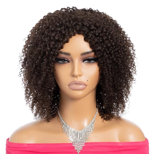 Rebecca Fashion Afro Kinky Curly Wig Human Hair Short Curly Wigs for ...