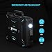 Renogy Phoenix Elite Portable Generator Station 300Wh Built-in - Want ...