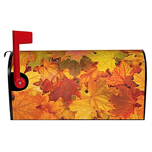 Amazon.com New Releases: The best-selling new & future releases in ...