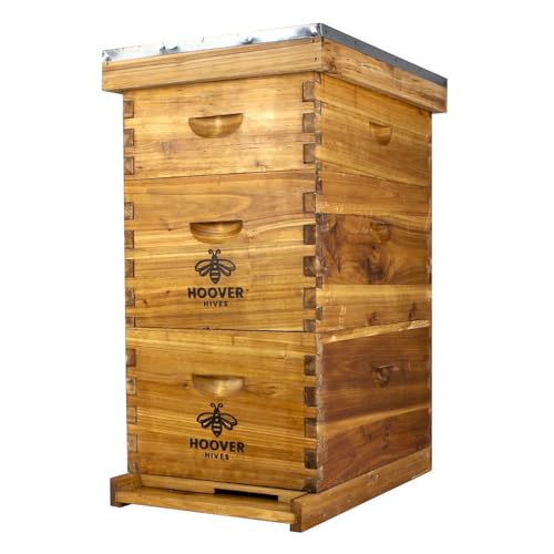 9 Best Beehive Boxes (Review)