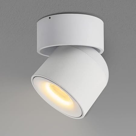Aisilan Rotatable Indoor Spotlight, 7W Single Ceiling Spot Light White ...
