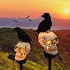 Amazon.com : Huazzzyi Outdoor Solar Lights, Crow Solar Lights Outdoor ...
