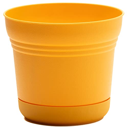 Find The Best 12 Inch Terracotta Pots Reviews & Comparison - Katynel