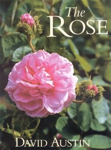 The Rose: Austin, David: 9781870673532: Amazon.com: Books