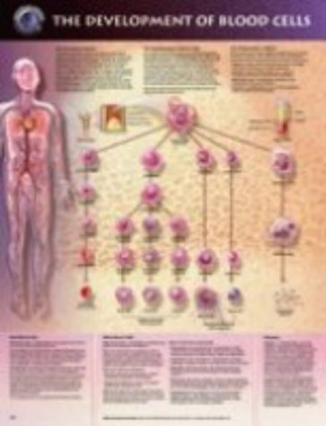 Buy The Development of Blood Cells Book Online at Low Prices in India ...