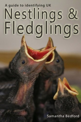 A guide to identifying UK Nestlings & Fledglings: Amazon.co.uk: Bedford ...