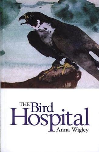 Buy Bird Hospital, The Book Online at Low Prices in India | Bird ...