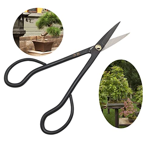 Cocktail Japanese Bonsai Scissors Bairyu Satsuki Bonzai Ikebana Bonsai ...