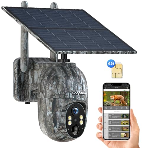 Best Outdoor Live Streaming Cameras for Real-Time Coverage – Gina ...