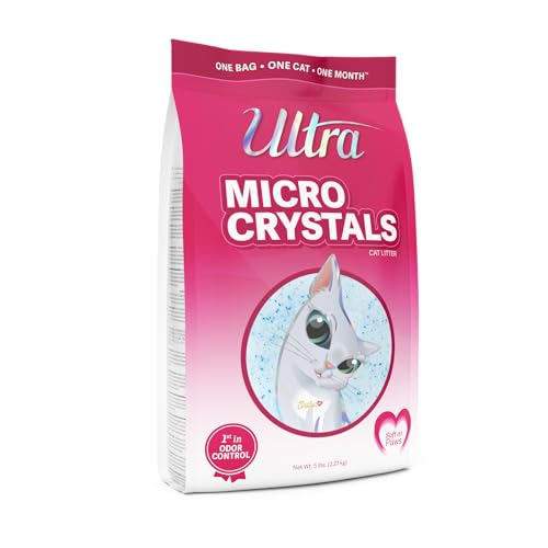 The 25 Best Crystal Cat Litters - Pet Life Today