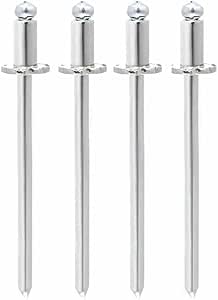 Amazon.com: 2 Pairs GM NOS Dash Rosette Rivets Stainless Steel Fits for ...