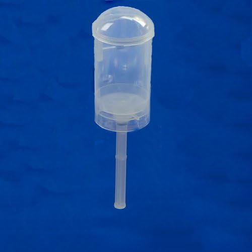 Amazon.com: Clear Push-Up Pops Plastic Containers with Lid, Pack of 100 ...